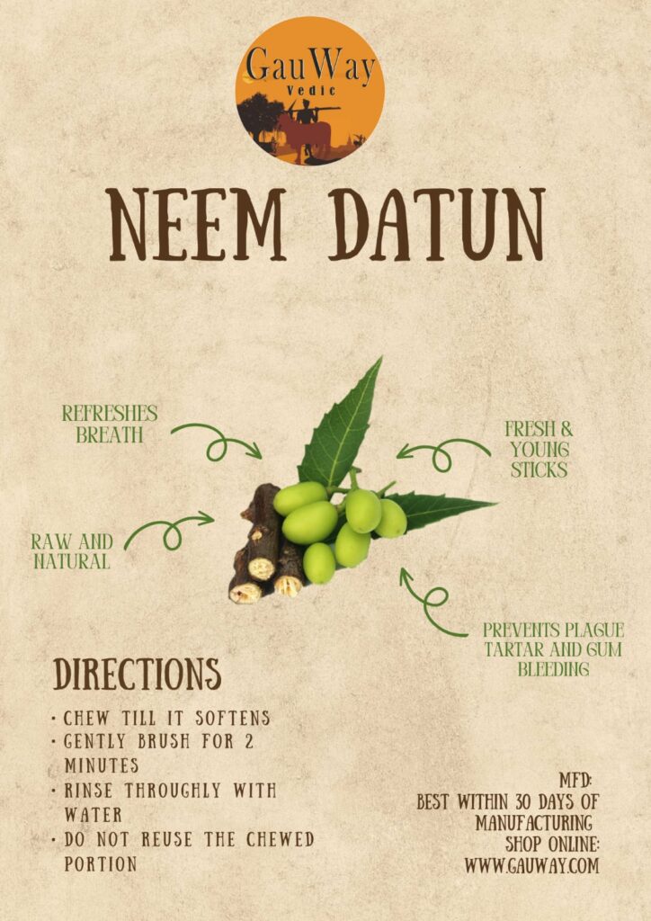 Gauway Fresh Neem Chewing Sticks Organic Tooth Brush Datun Sticks ...
